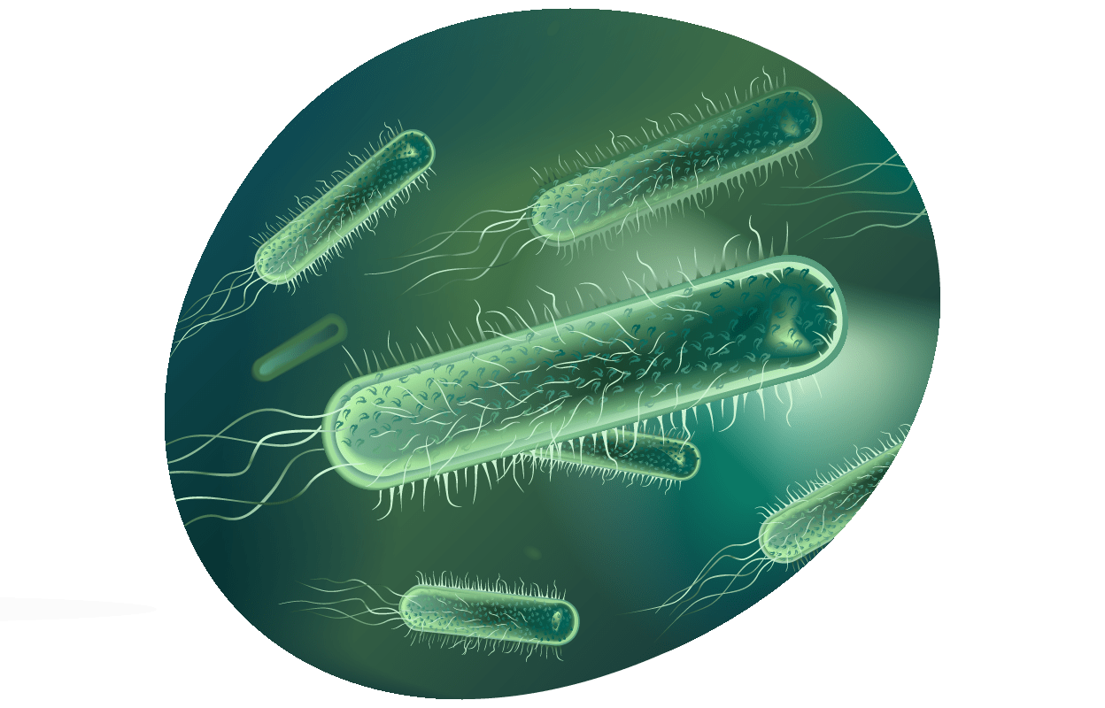 Cystitis and UTIs - Soluro